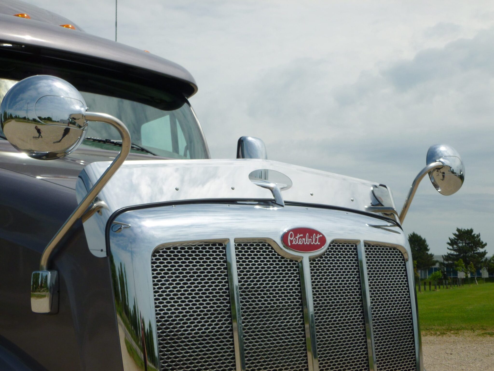 Bug Deflector – Dieter's Accessories